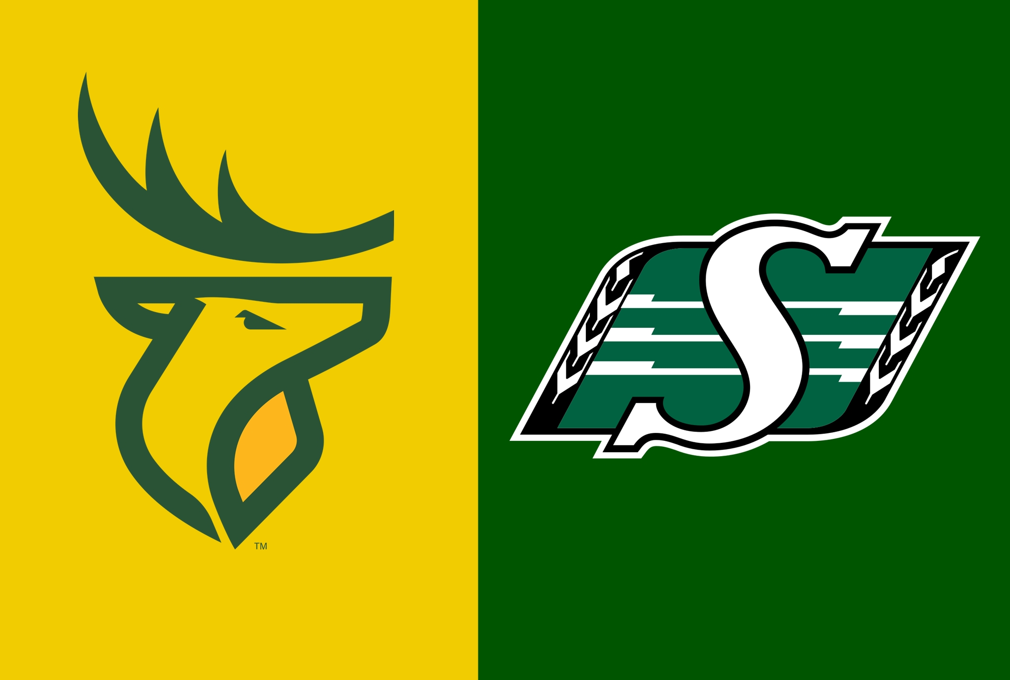 Saskatchewan Roughriders and Edmonton Elks Injury Report – BGMSportsTrax