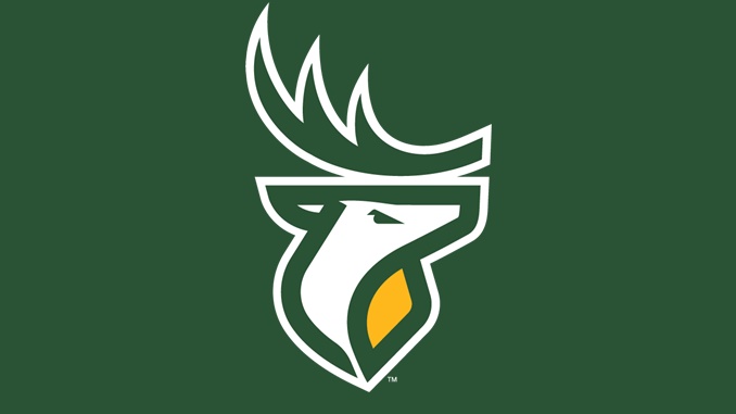 Edmonton Elks 2024 Global Picks Recap – BGMSportsTrax