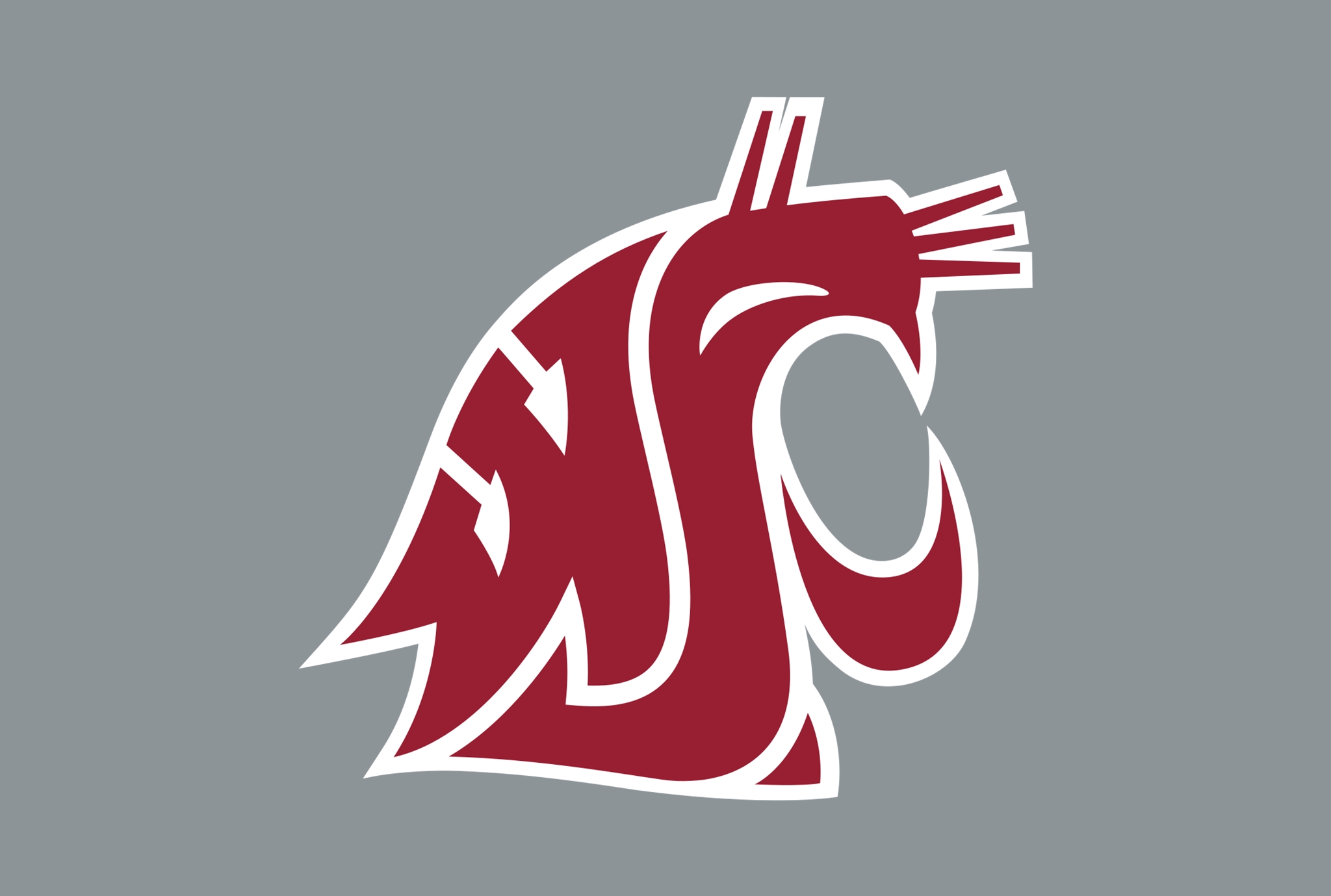 Washington State cruises to its first bowl win since 2018 – BGMSportsTrax